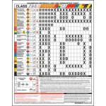 Hazmat Load and Segregation Chart – 1-Sided, Vinyl – 1-Sided, Vinyl ...